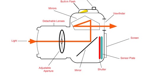 hillwood photo 2: The DSLR camera and exposure