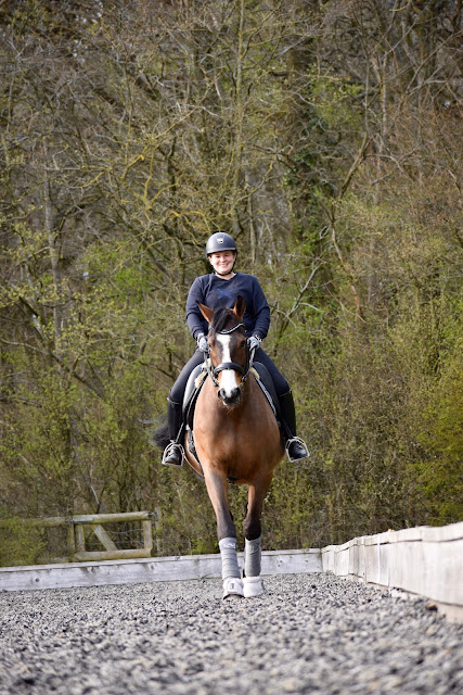 Roosa's Horsey Life: Riding exercise of the month: shoulder-in to half-pass