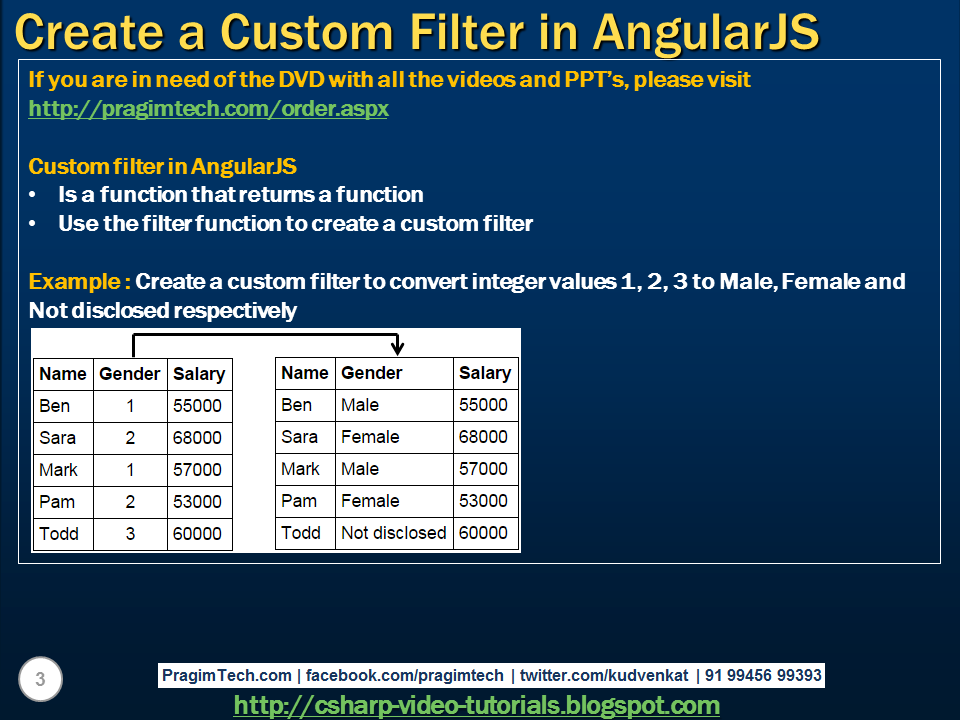 Sql Server Net And C Video Tutorial Create A Custom Filter In Angularjs 3742