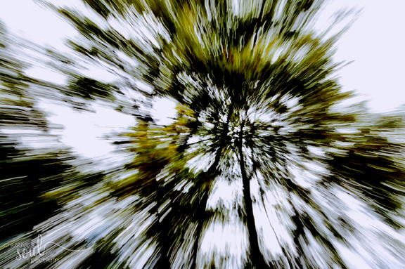 Creative Soul Spectrum: Lens Effect Photography