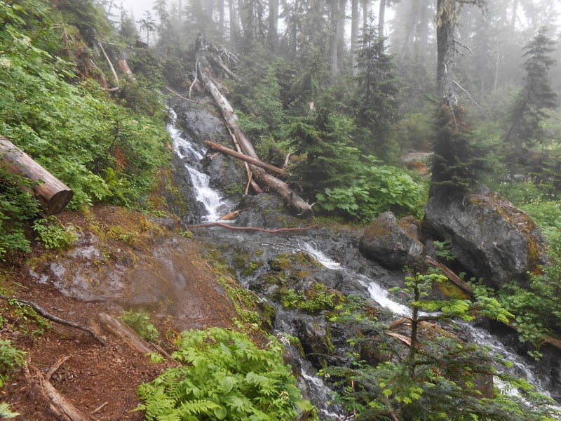 Val-Di-Ree: Upper Lena Lake, August 2, 2013