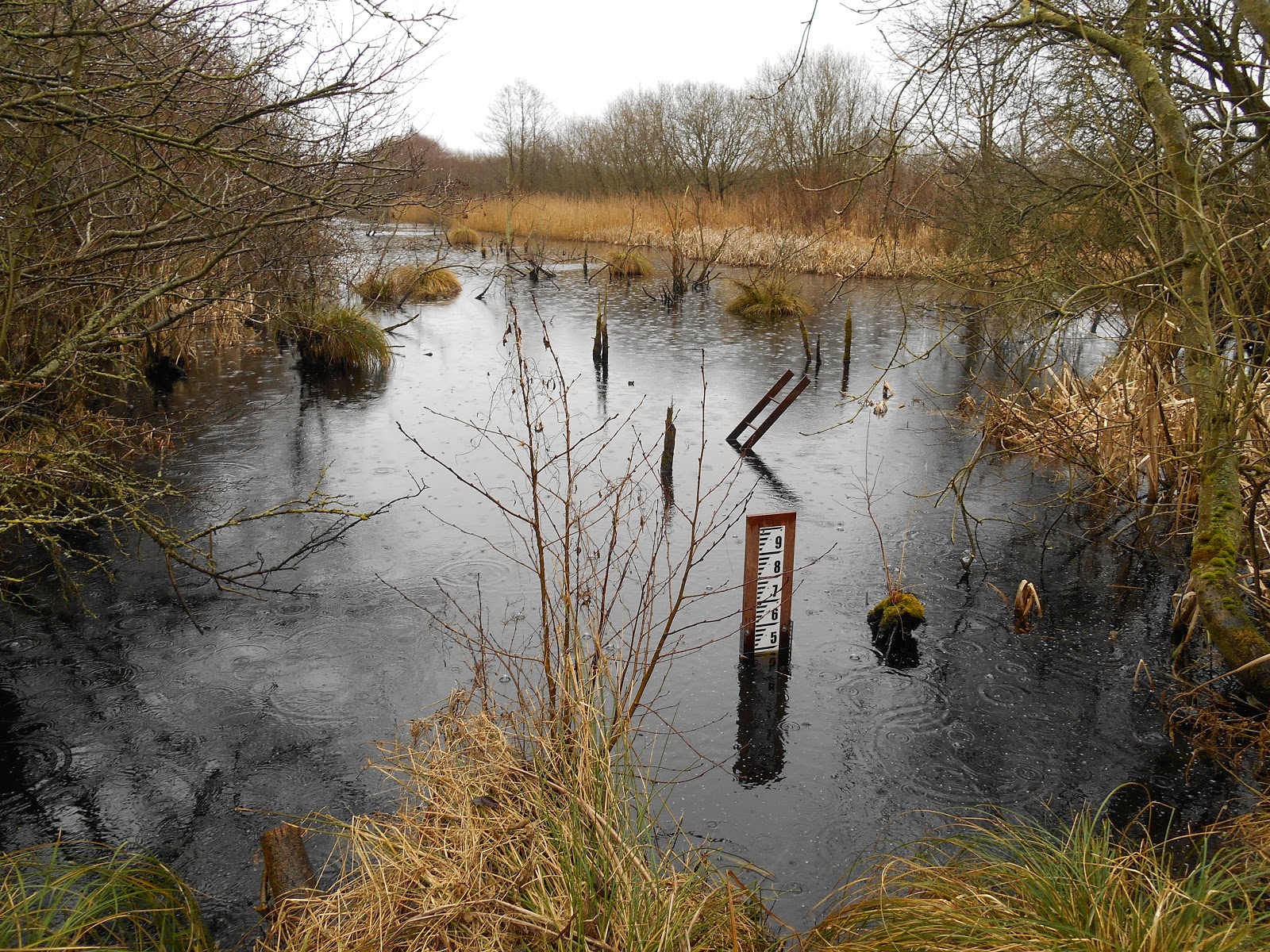 Off the Beaten Track in Somerset: The Sweet Track and other Ancient ...