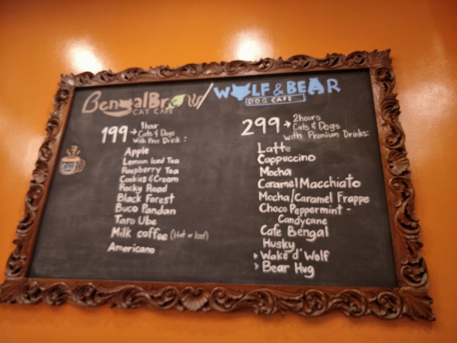 Bengal Brew: A Cat Cafe in The Metro ~ Viva Manilena