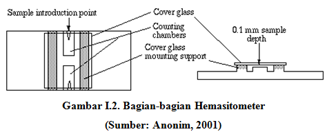 HEMASITOMETER | METODE PERHITUNGAN MIKROBIOLOGI