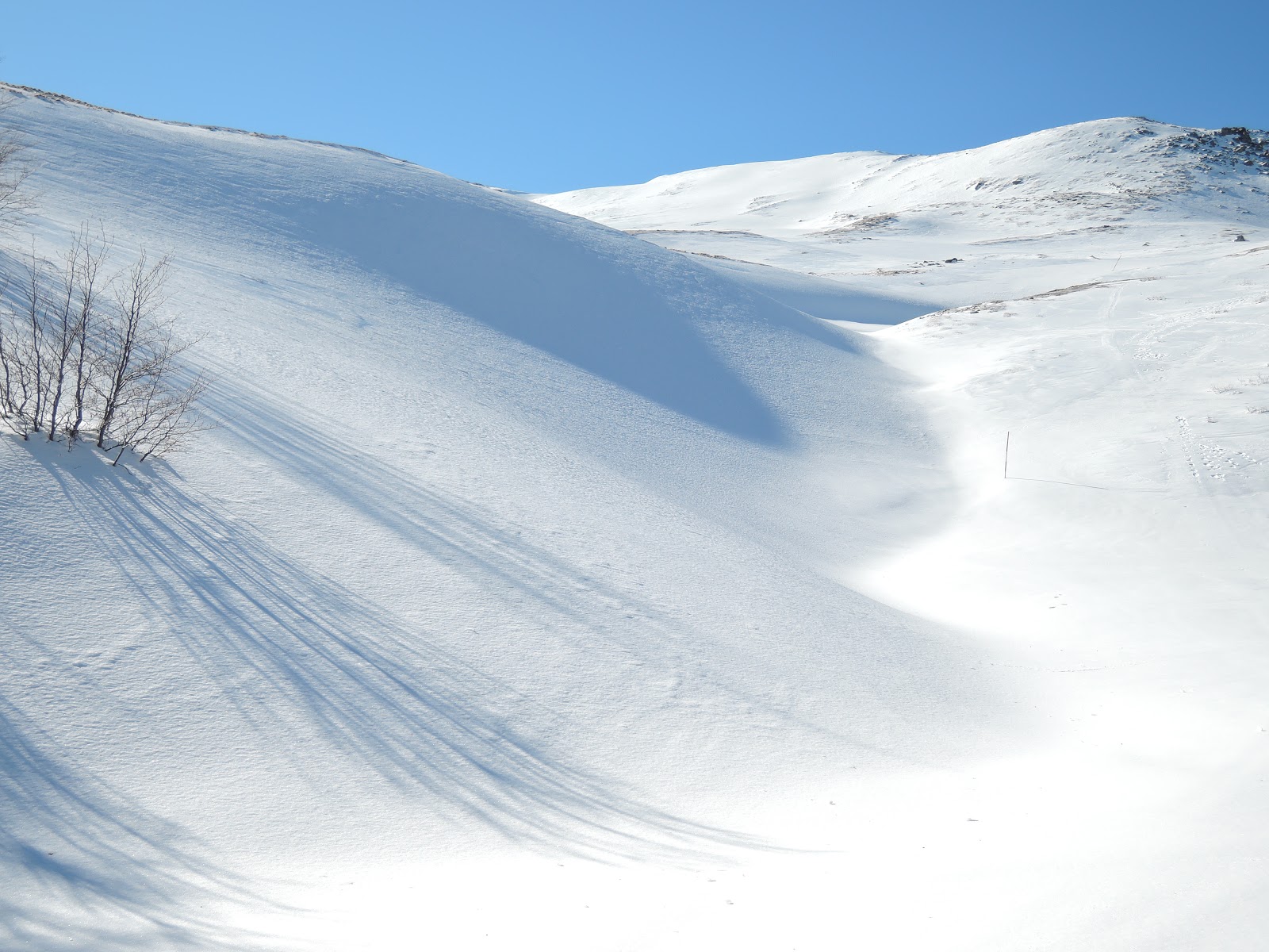 Piccoli Sentieri: Finalmente la neve