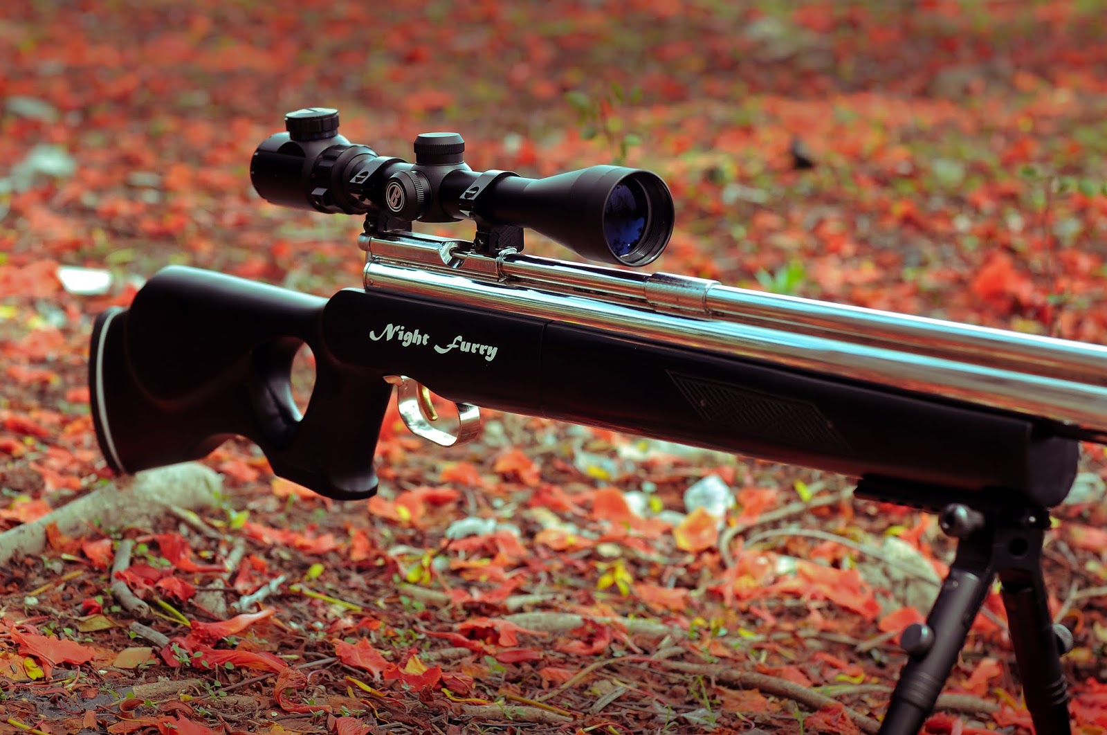 12 Perbandingan Senapan Angin Terkuat di Indonesia