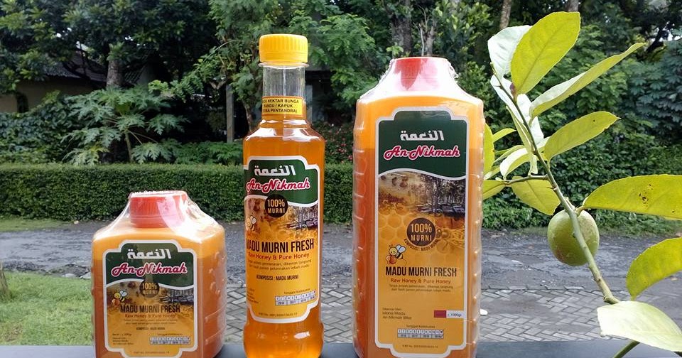 Mas Rudy's Blog: MADU KAPUK, MADU RANDU