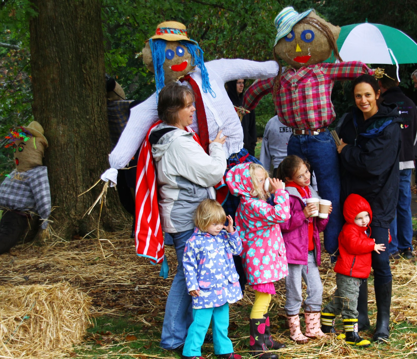 Morris Arboretum: A Fall Tradition on Display...
