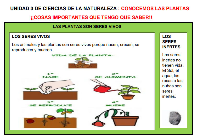 Mikeletes : UNIDAD 3: LAS PLANTAS