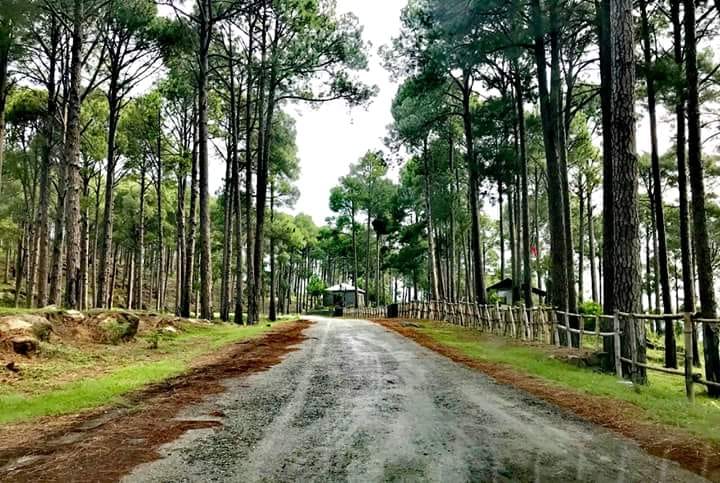 1 day trip to Karore valley on Patriata road Rawalpindi ...