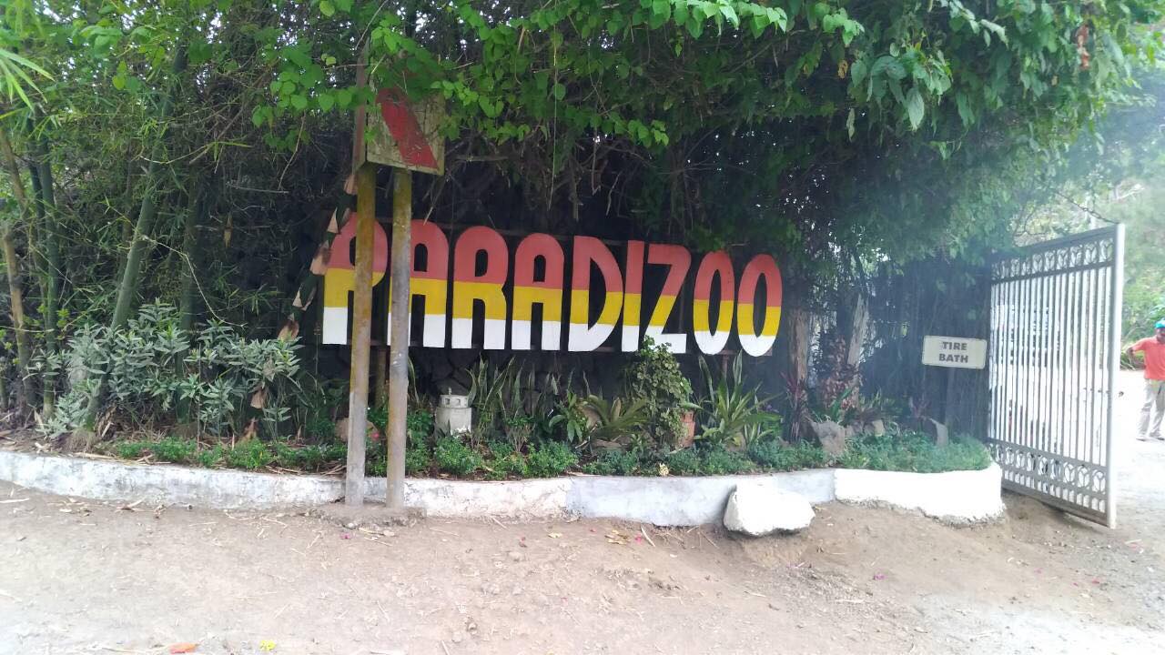 Trip to Paradizoo!♥ - ARTSY FARTSY AVA