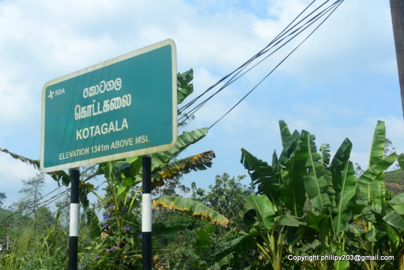 Images of Sri Lanka on blogspot.com: Kotagala to Pathana