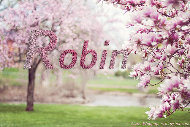Robin Name Wallpapers Robin ~ Name Wallpaper Urdu Name Meaning Name ...