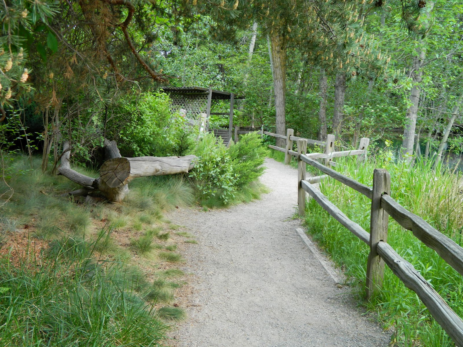 Living in Idaho: MK Nature Center
