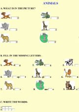 For Primary Kids: English 3rd - Animals