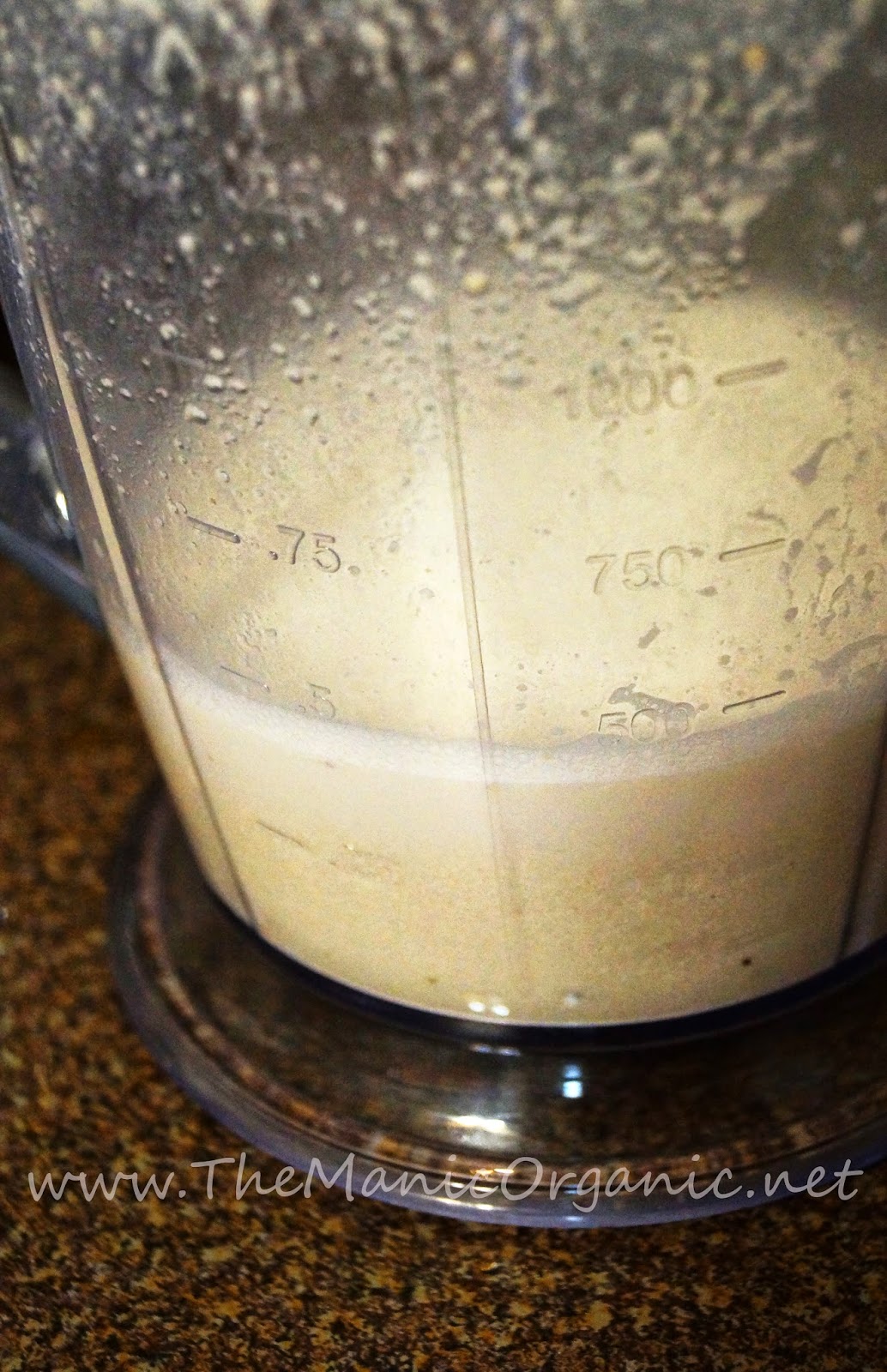 The Manic Organic: Cashew "Milk" and "Cheese"