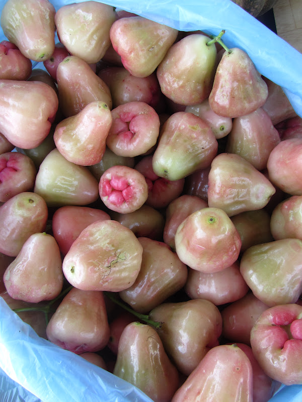 Strange Fruit in Belize: Cashew and Wax Apples + Off to the Belmopan ...