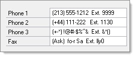 Steve Endow - The Blog: How should phone numbers be entered or ...