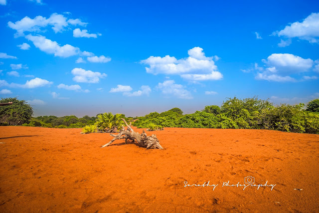 Kazhugumalai Temples and Therikadu Desert