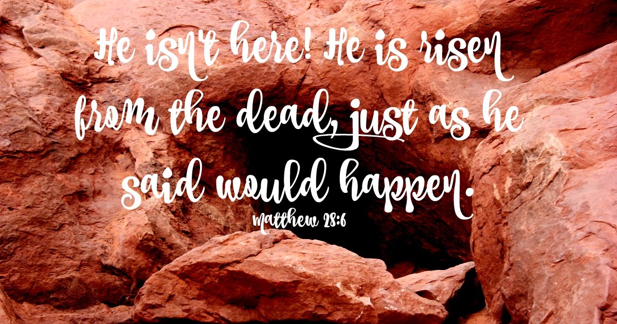 Beyond The Picket Fence: Sunday Verses