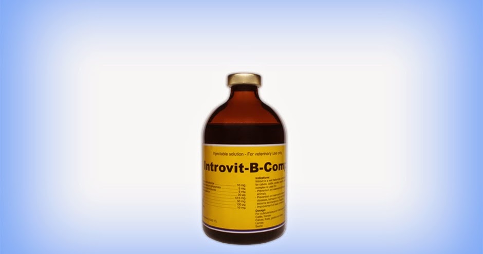 INTROVIT-B-COMPLEX Injeksi Vitamin B Kompleks - OBAT HEWAN UNGGUL