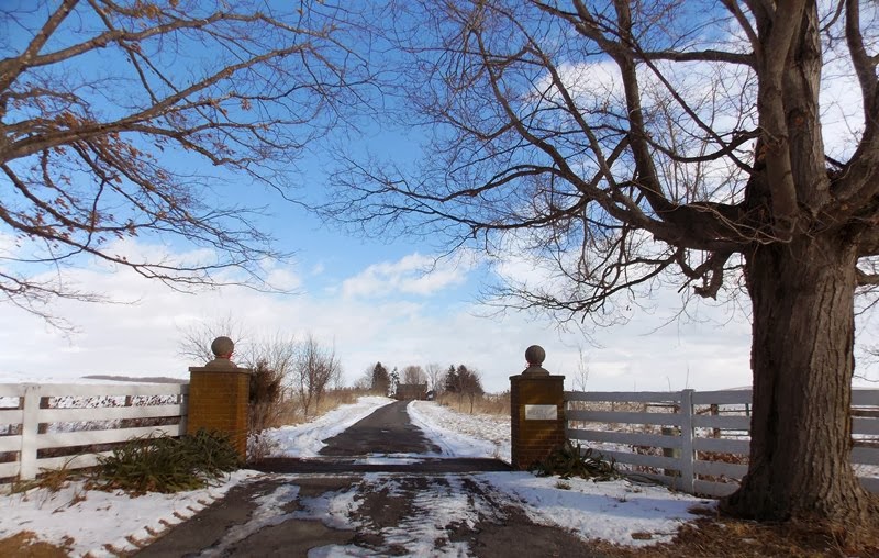 SWAC Girl: Winter day on the snowy back roads of Augusta County