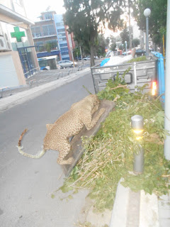 Lokroi