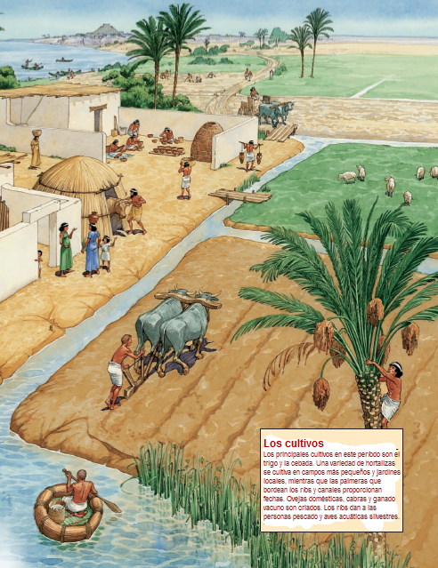 La vida del pueblo Sumer ~ Aprenda historia de la humanidad