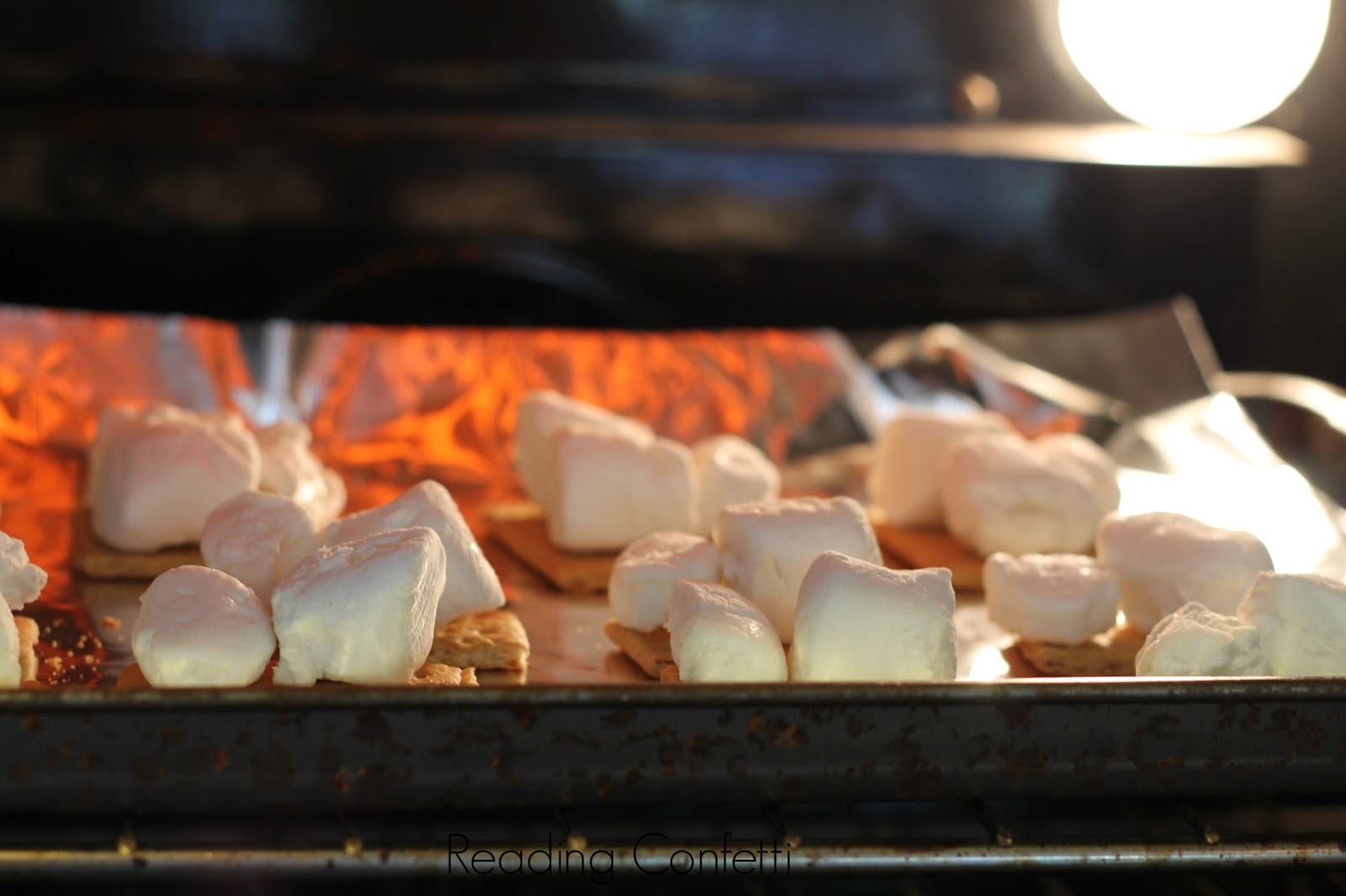 Frozen S'mores and Camping Books for Kids ~ Reading Confetti