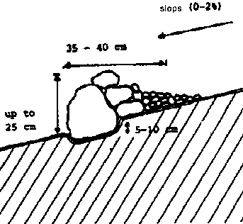 SOCIETY OF AFRICAN EARTH SCIENTISTS : Workshop Notes