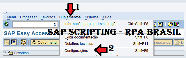 SAP SCRIPTING - RPA BRASIL