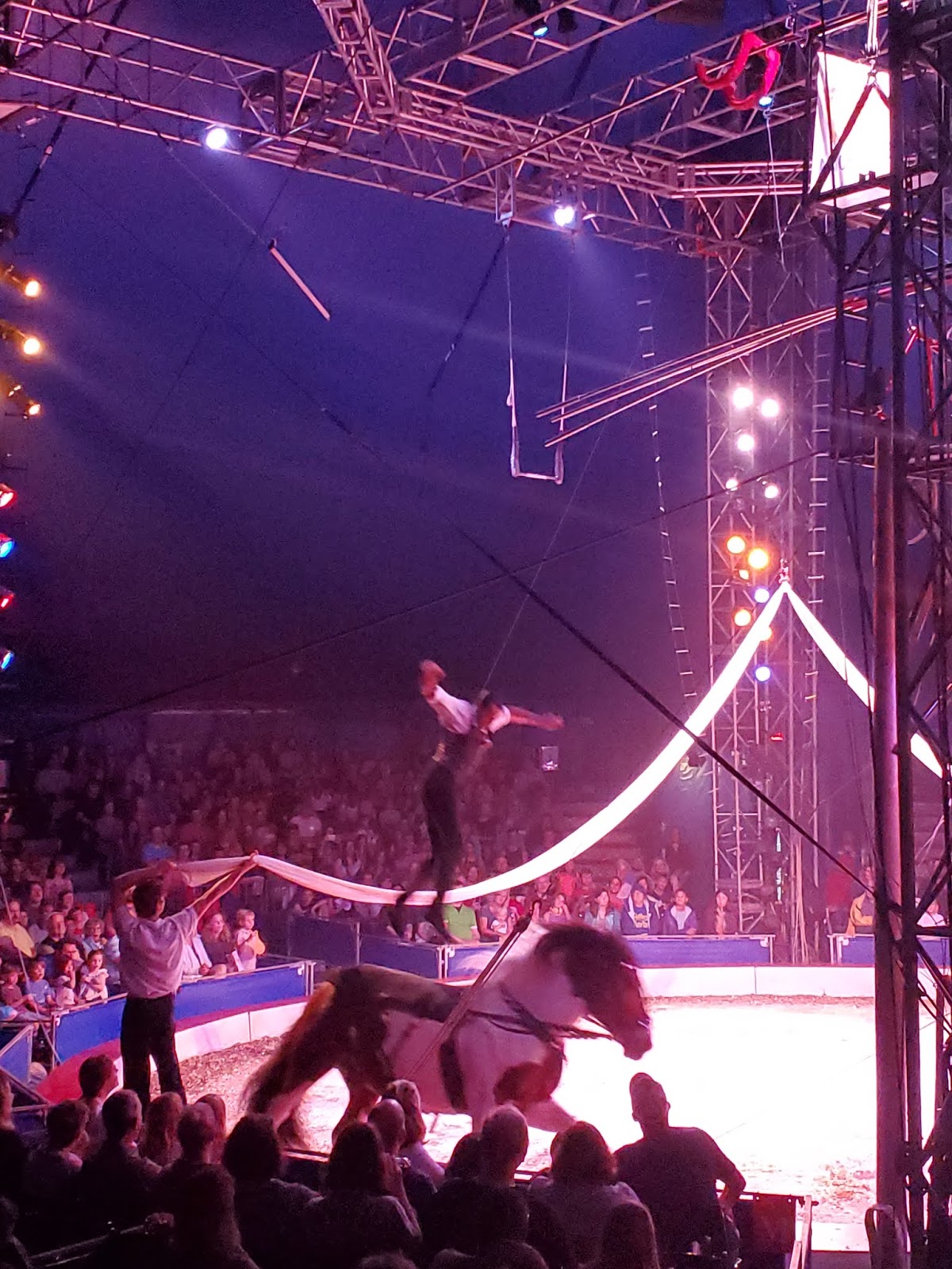 Play St. Louis: Circus Flora, St. Louis City