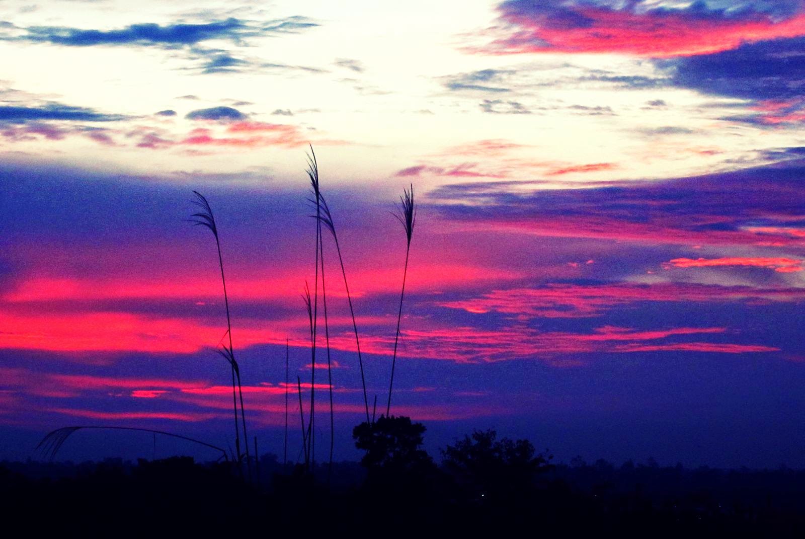 Sejelas Semburat Ungu | Un