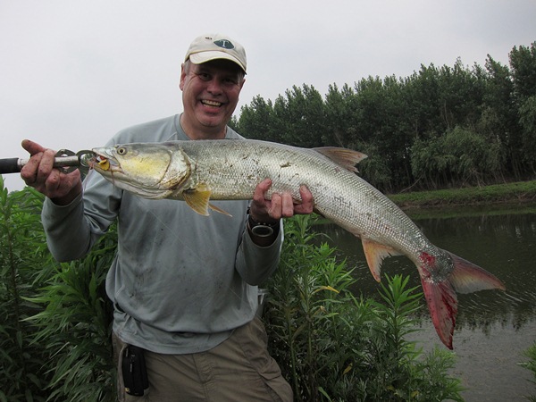ANGLING WORLD 魔魚釣界: Monster Fish in China - Yellow Cheek!!