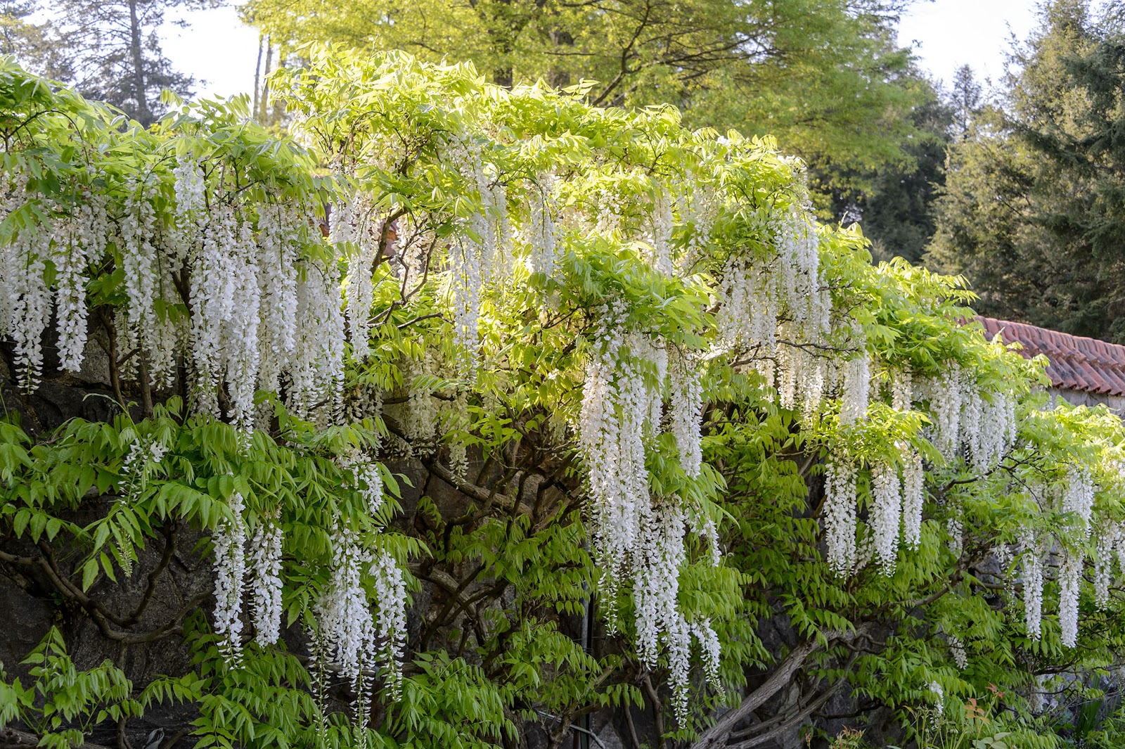 Bubba's Garage: April 2017