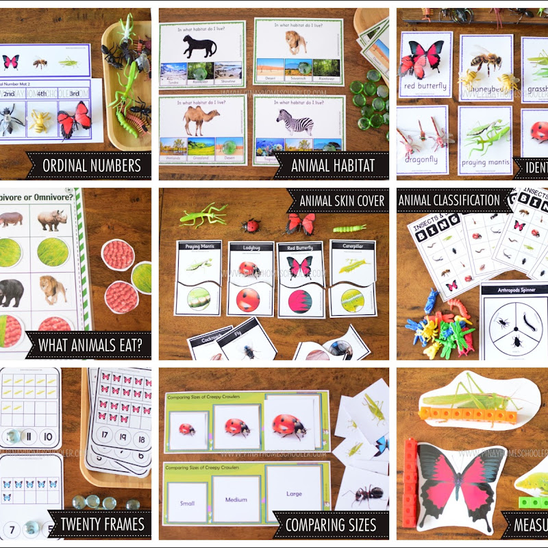 Safari Toob Theme Teaching Resources | The Pinay Homeschooler