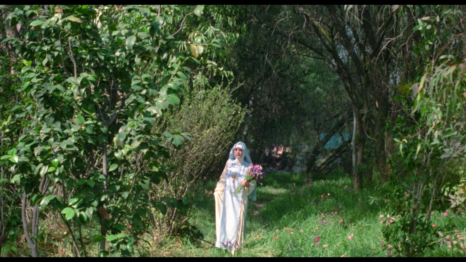 MCBASTARD'S MAUSOLEUM: SATANICO PANDEMONIUM (1975) (Mondo Macabro Blu ...