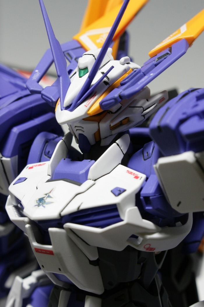 GUNDAM GUY: MG 1/100 Gundam Astray Blue Frame D - Painted Build