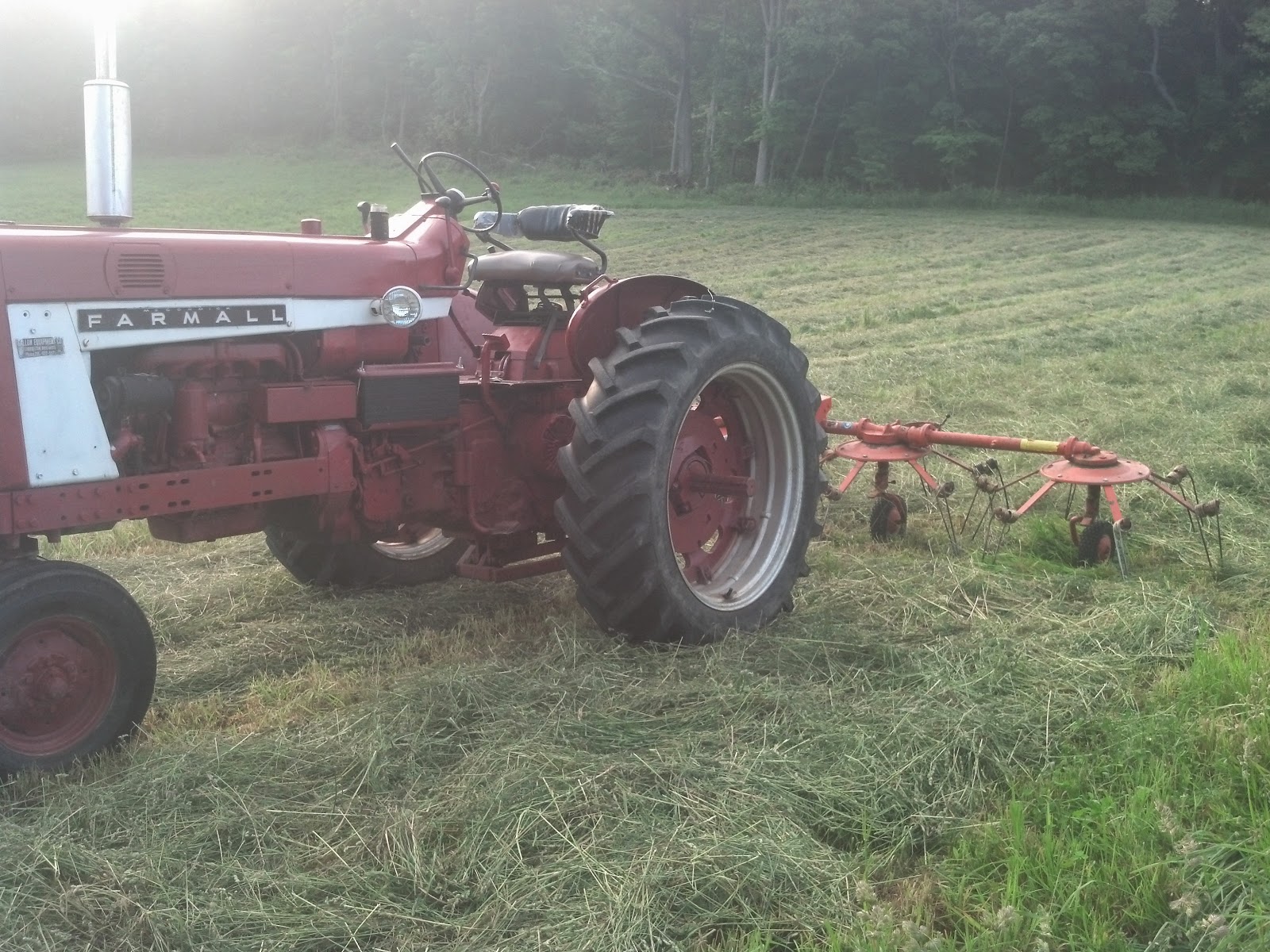 Conser Run Report: New Tedder, New baby calf, and New PIGS!!!