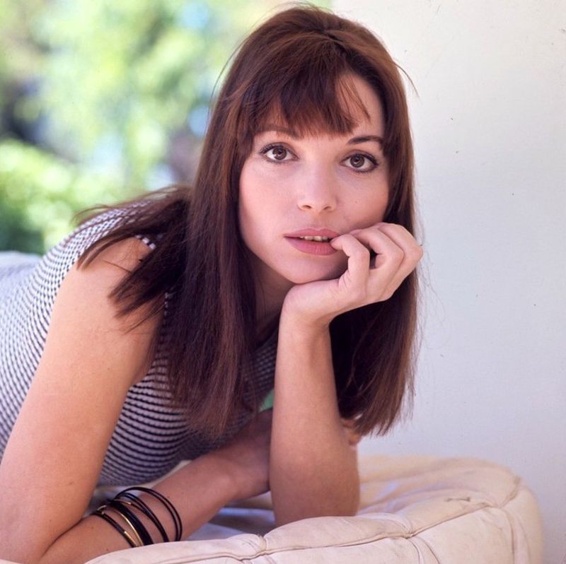 Italian Classic Beauty: 50 Glamorous Photos of Elsa Martinelli in the ...