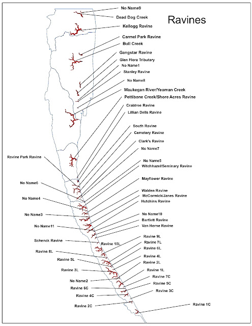 Highland Park Ravines Project: Ravine Maps