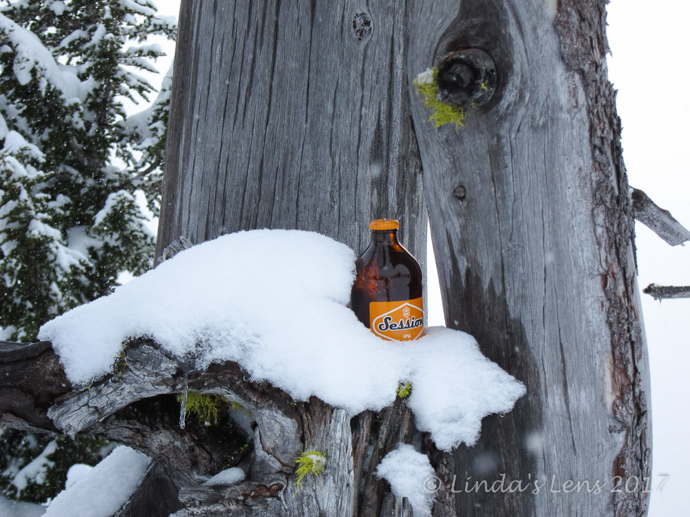 Linda's Lens: Beer in the Bra Tree