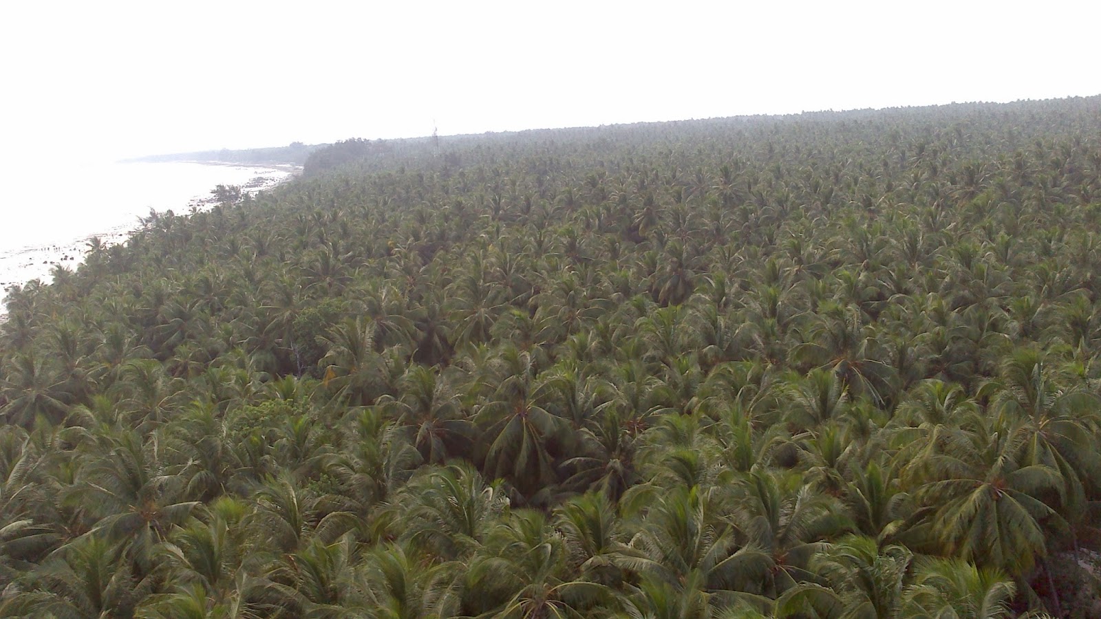Everything about Lakshadweep Islands : Lets see inside Kavaratti Islands :)
