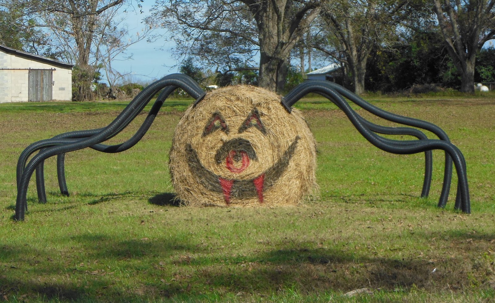R and R travels: Hay Art
