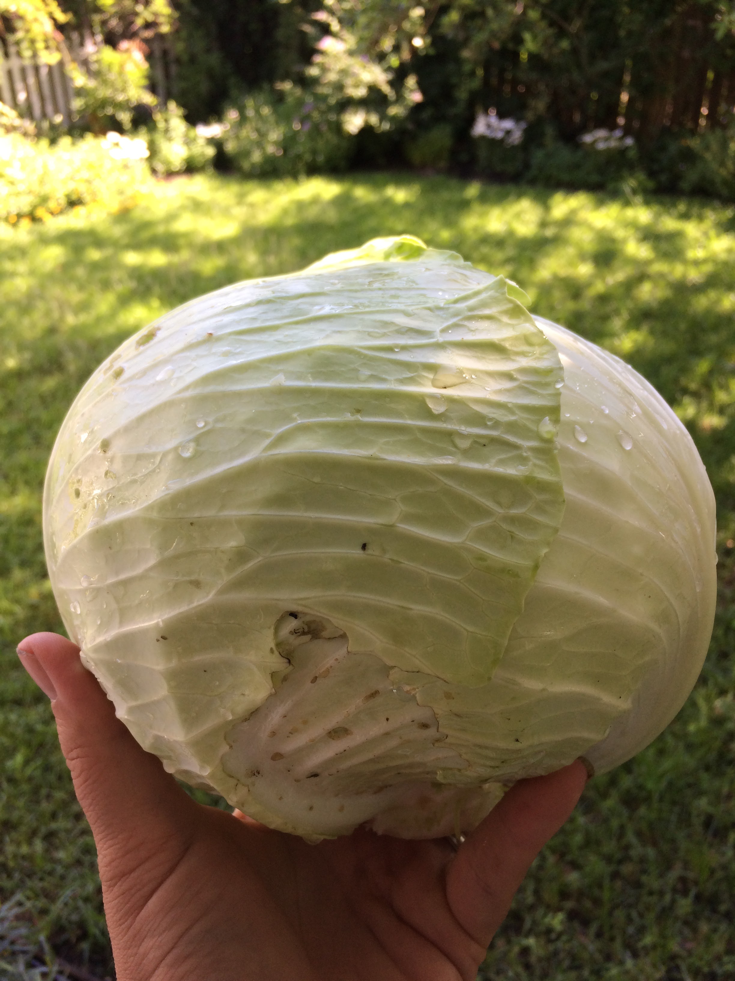 Green Gourd Creations