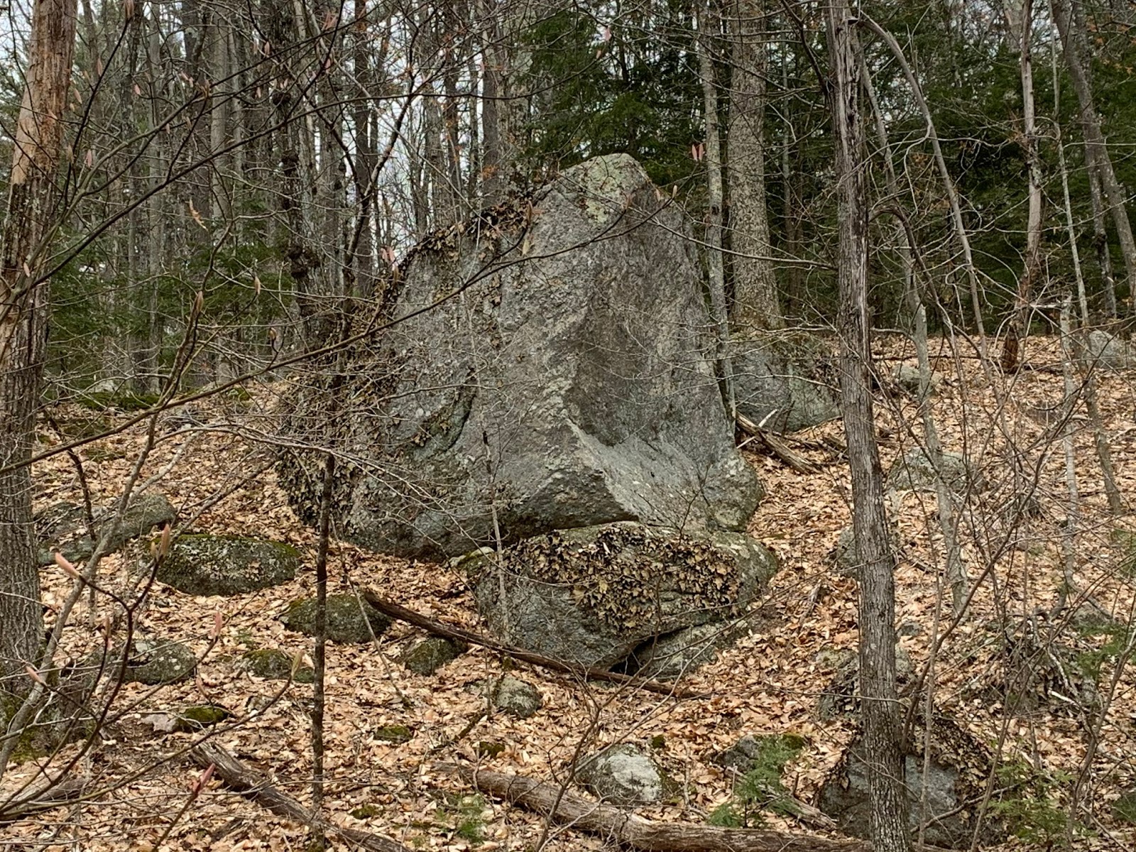 The Feral Irishman: Today's Hike.. Boulders In The Woods...