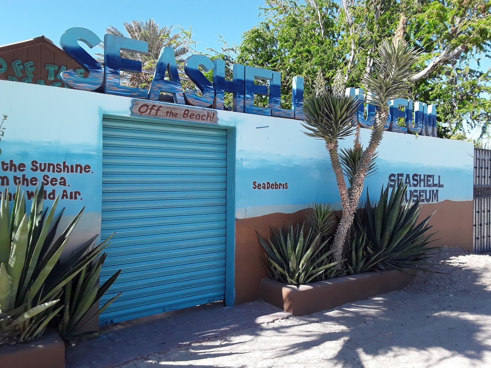 SeaShell Museum: SeaShell Museum Gift Shop