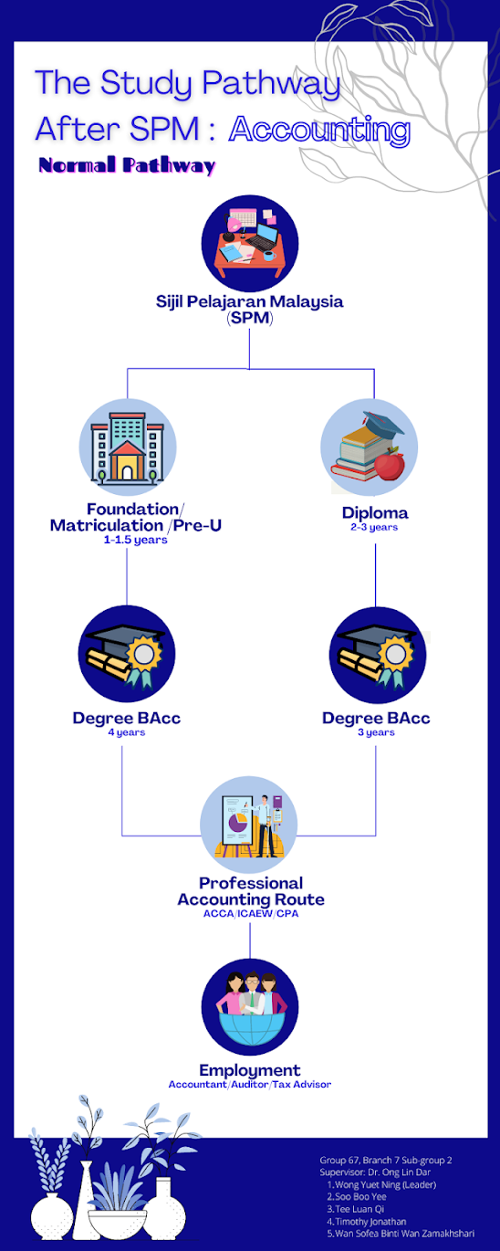 Study pathway after SPM: Accounting