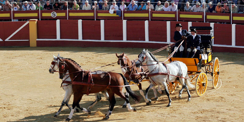 Días de aplomo: XXVII EXHIBICIÓN DE ENGANCHES DE LA FERIA DE SEVILLA