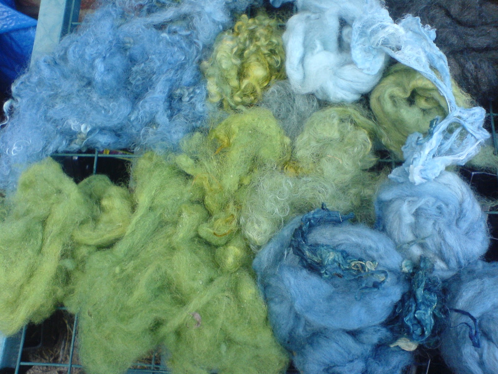 Fat Hen Wild Wool: Woad, wonderful woad... growing and dyeing